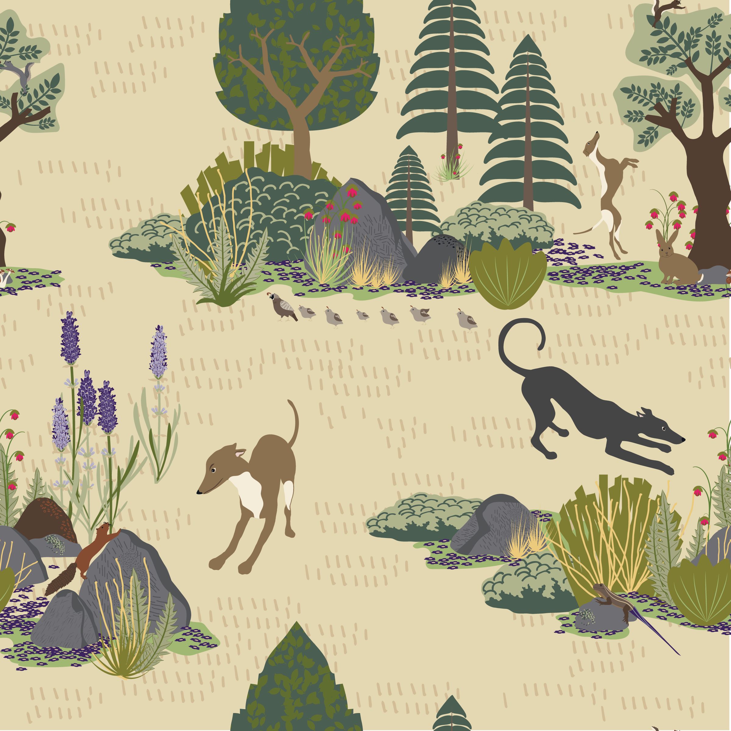 Collection Sneak Peek – Marie Friddle